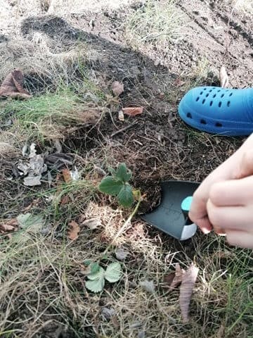 Simple Guide To No Dig Gardening - Greener Kirkcaldy