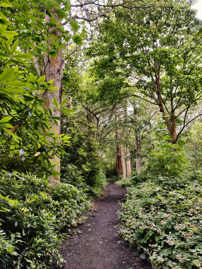 Discovering Trails in Kirkcaldy - Greener Kirkcaldy