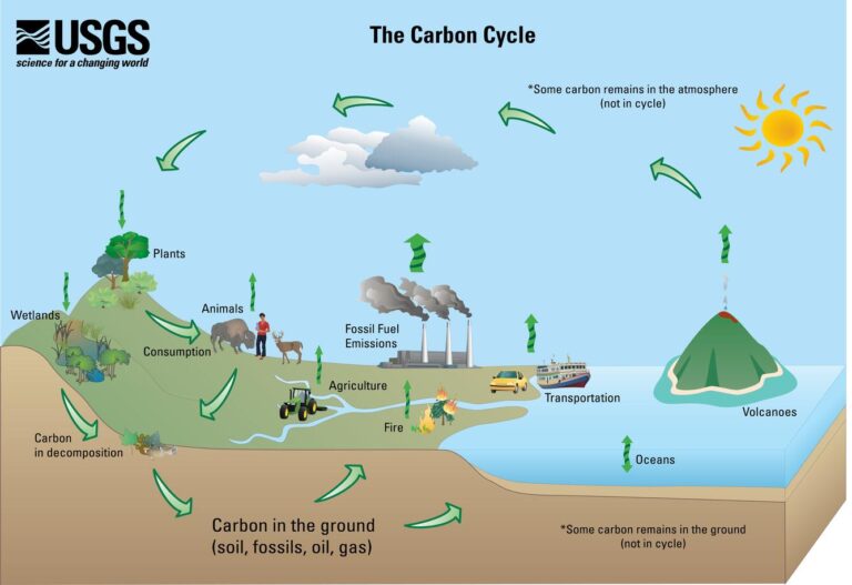 Understanding the carbon cycle and why it matters - Greener Kirkcaldy